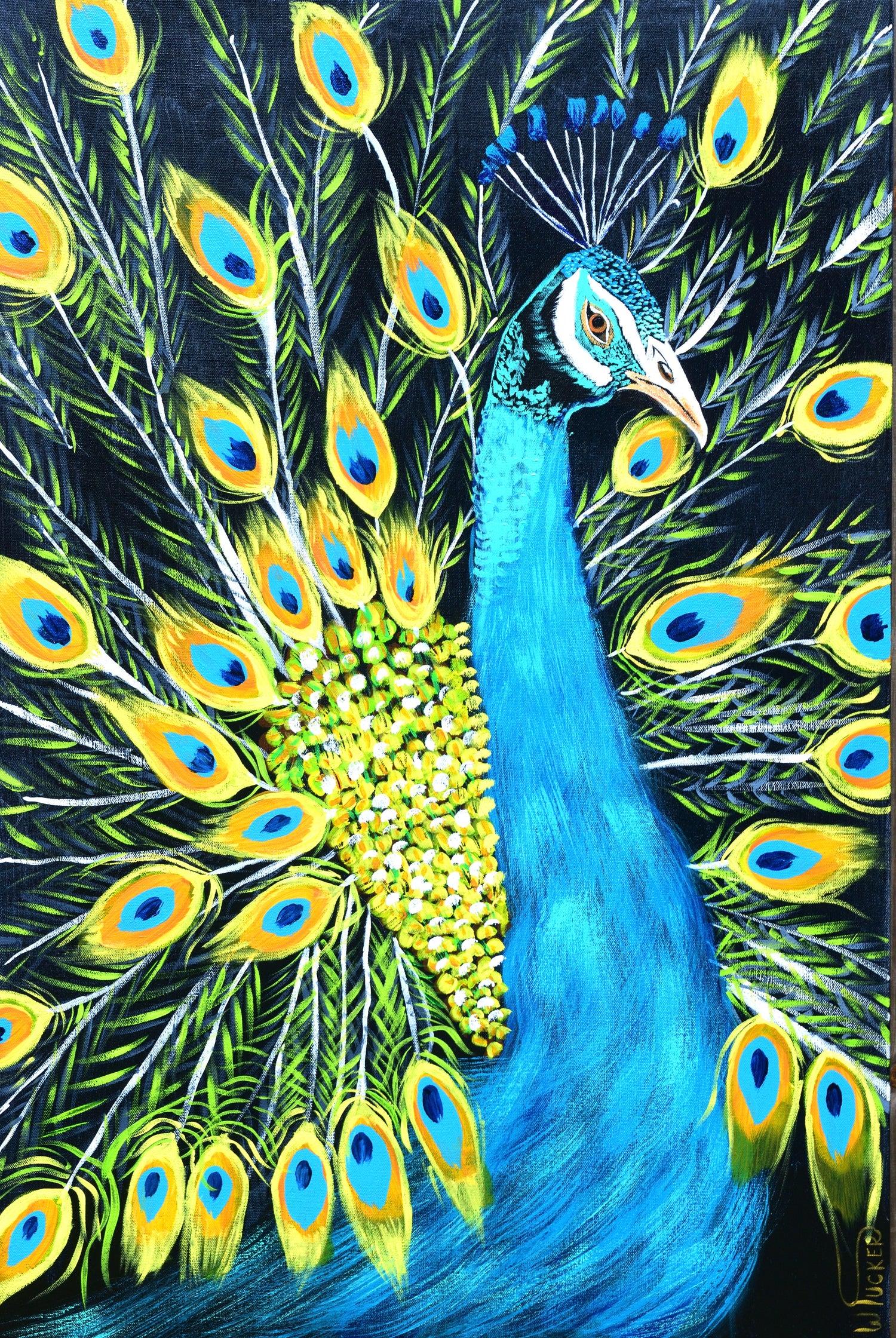 The Rich Symbolism of Peacocks in Culture and Mythology – William ...